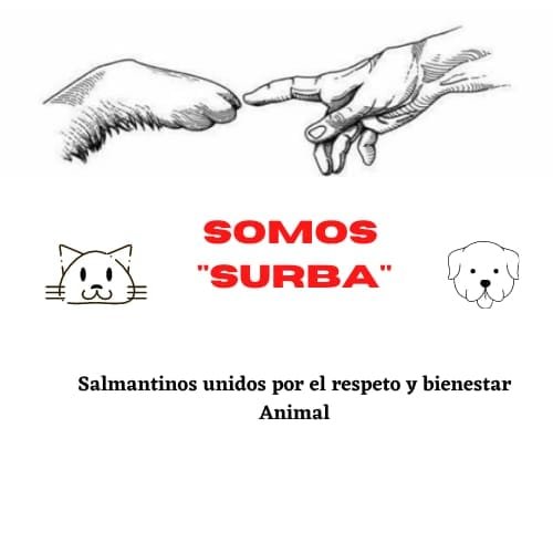 SURBA: 9 años de lucha por el rescate y bienestar animal - Salamanca ...
