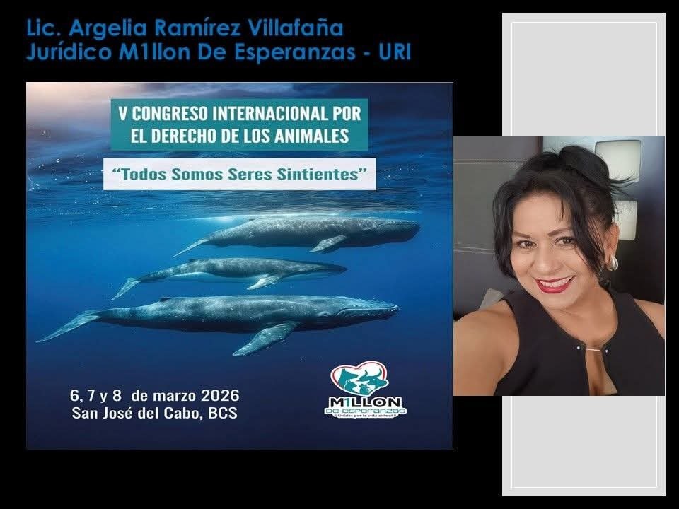 SURBA: 9 años de lucha por el rescate y bienestar animal - Salamanca ...